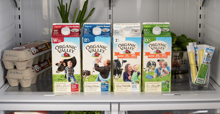 8 Consumer Research Examples (With Expert Tips) | Attest